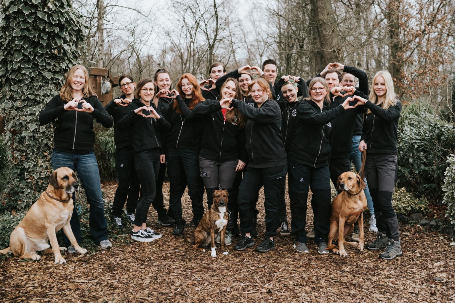Das Tierheim - Tierheim Oldenburg